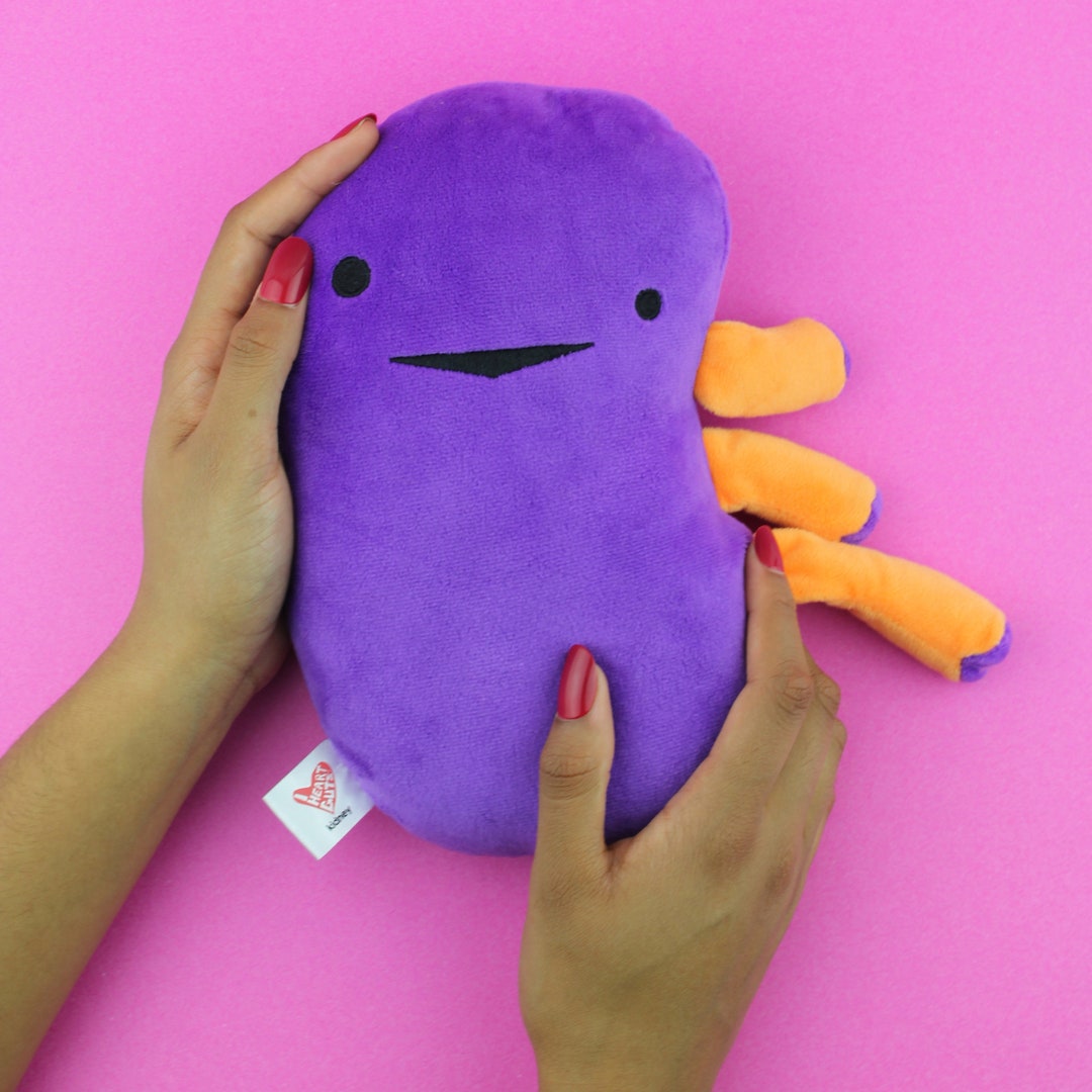 2-sided Kidney Plushie Get Well Transplant Organ Donor Stuffed Toy Cute ...
