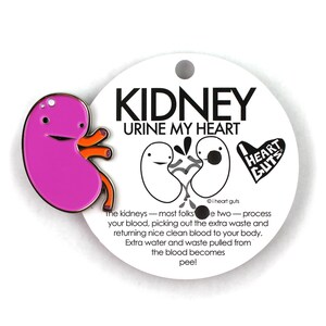 Kidney Enamel Lapel Pin | Cute Kidneys Pin for Surgery, Organ Donor ...