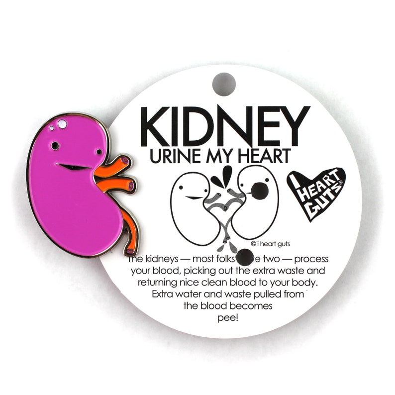 Kidney Enamel Lapel Pin Cute Kidneys Pin for Surgery, Organ Donor ...