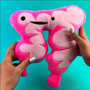 Colon Plushie You Move Me I Heart Guts | Organ Stuffed Toy Pillow ...