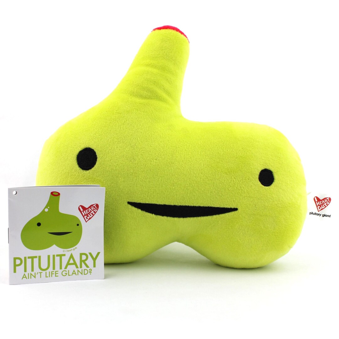 Pituitary Gland Plushie | Brain Tumor Surgery Gift, Cushing's Get Well ...