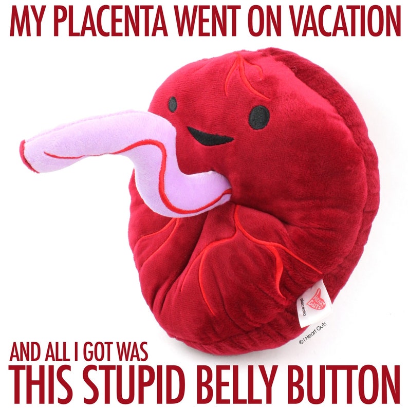 Placenta Plushie - Baby's First Roommate I Heart Guts | Plush Umbilical ...
