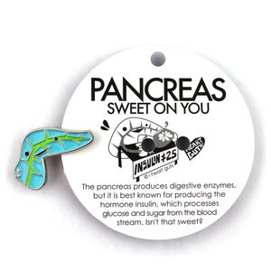 Pancreas Enamel Lapel Pin | Cute Diabetic Pins, T1D Diabetes Awareness ...