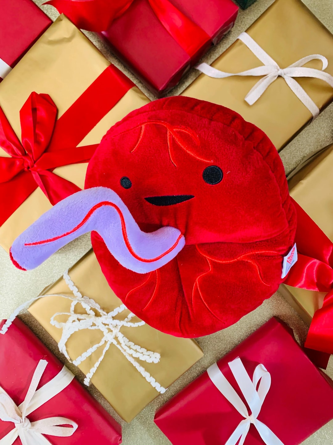 Placenta Plushie - Baby's First Roommate I Heart Guts | Plush Umbilical ...