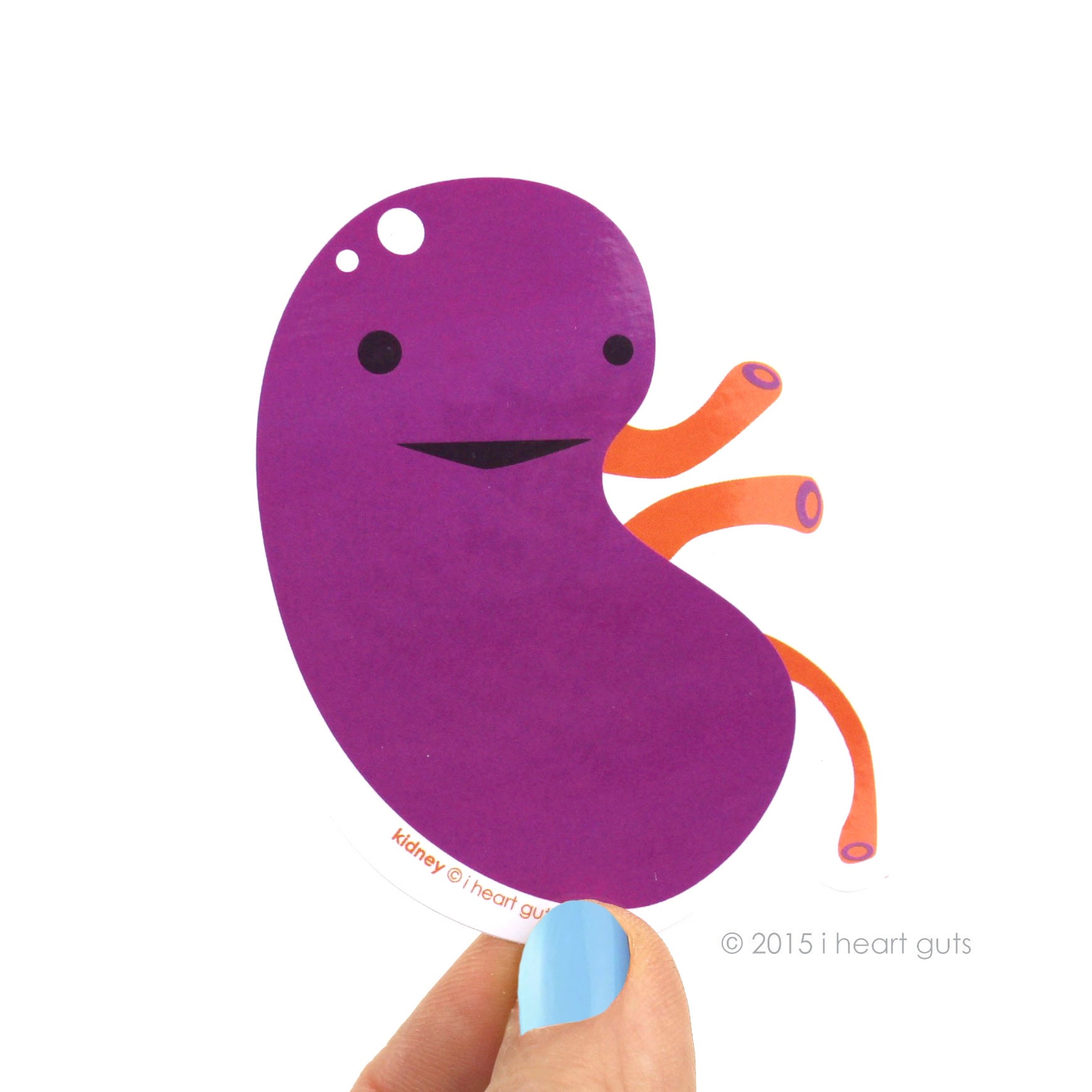Giant Guts Sticker Set | 15 Cute Organ Vinyl 3" Stickers Human Body ...