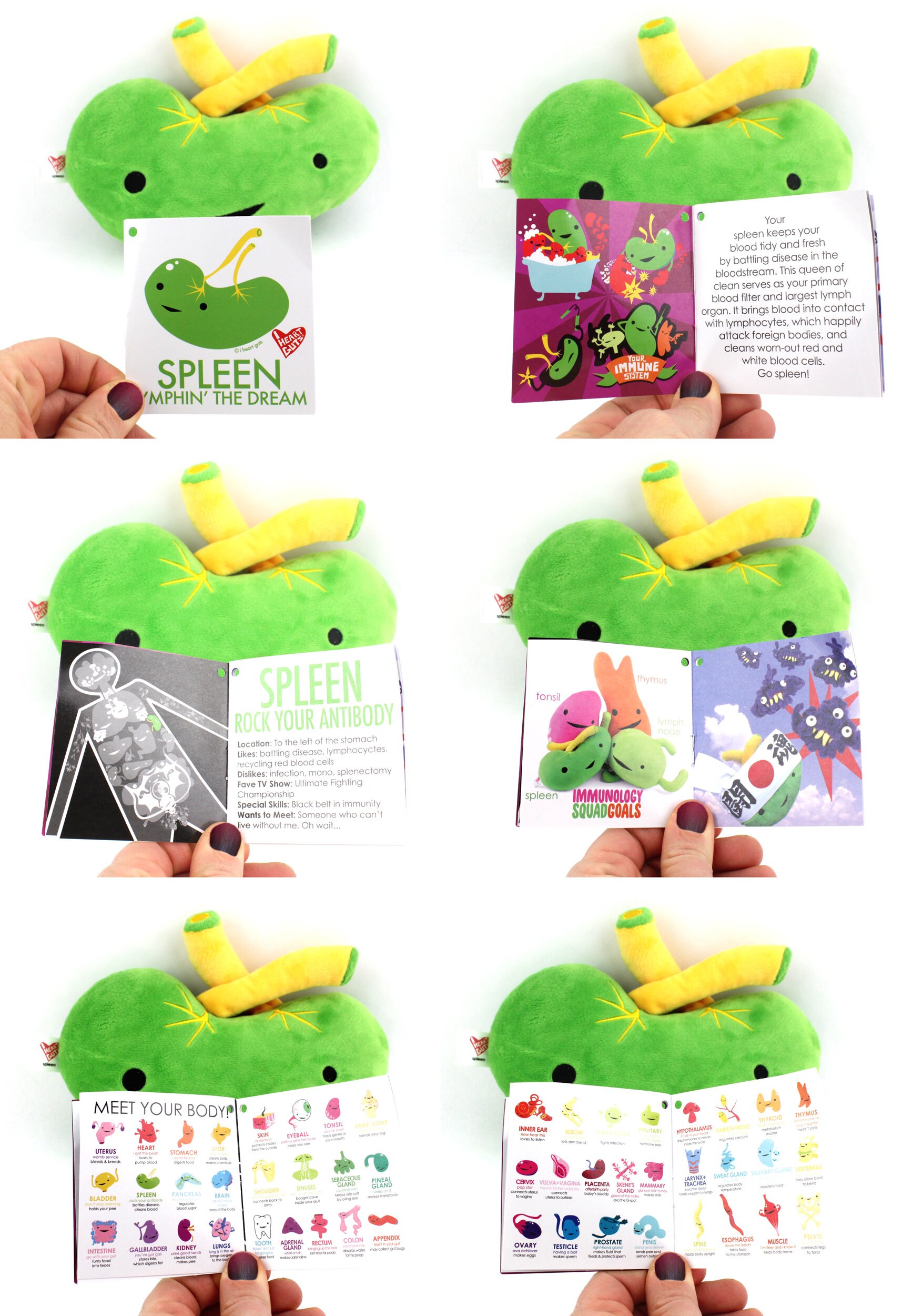 Spleen Plushie | Funny Post-splenectomy Gift - Etsy