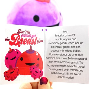 Breast Plushie - Breast of Both Worlds | I Heart Guts Plush Organs Breast Cancer Surgery ...