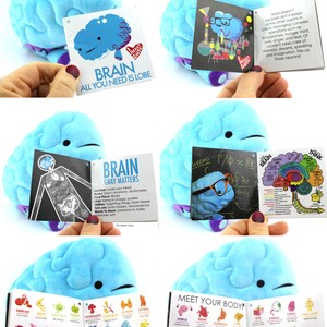 Brain Plushie | Neuroscience Gift, Mental Health Stuffed Toy Pillow - Etsy