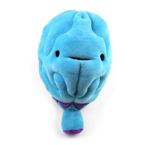 Brain Plushie | Neuroscience Gift, Mental Health Stuffed Toy Pillow - Etsy