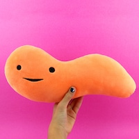Giantmicrobes Spleen Plush, Splenectomy, Get Well Gifts, Immunologist ...