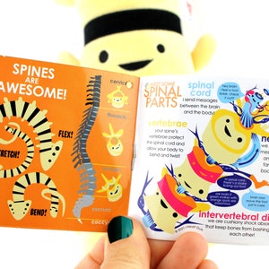 Spine Plushie Got Your Back I Heart Guts | Flexy Spinal Column Pillow ...