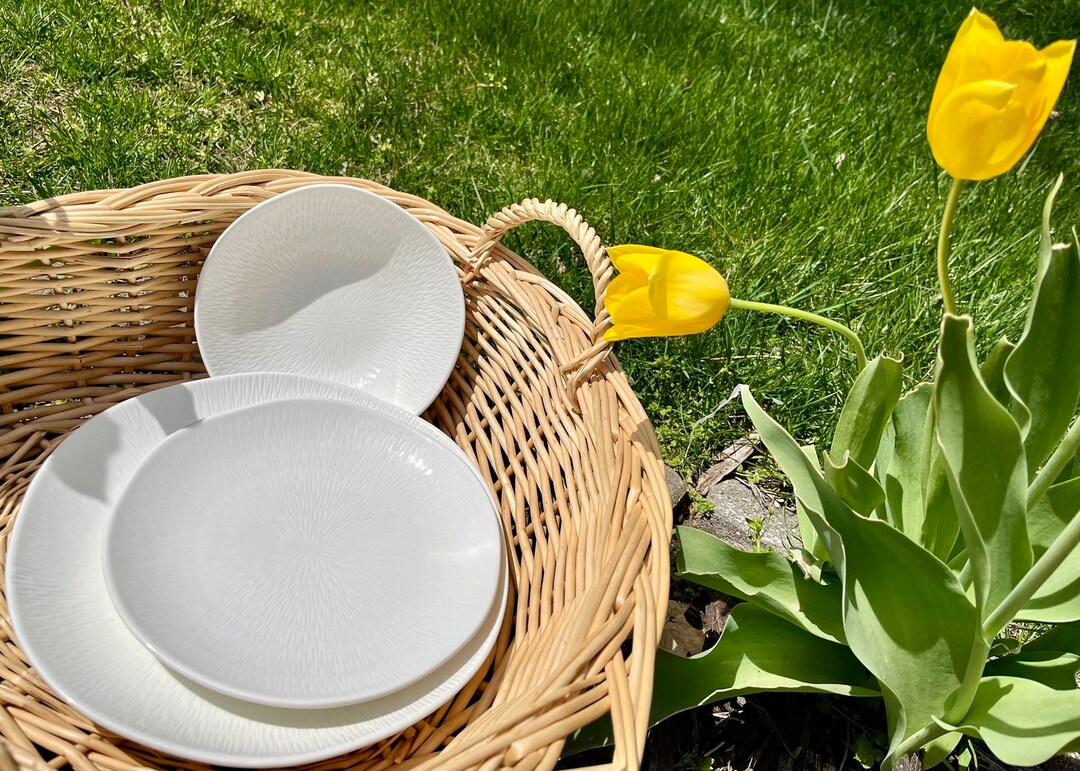 Light Rain 12-piece Durable White Porcelain Dinnerware Set - Etsy