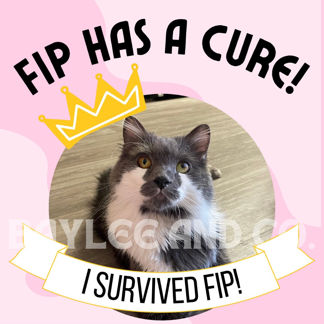 I Survived FIP Social Media Template - Etsy