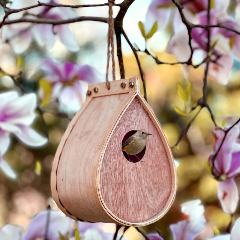 Songbird Outdoor Houses - Etsy