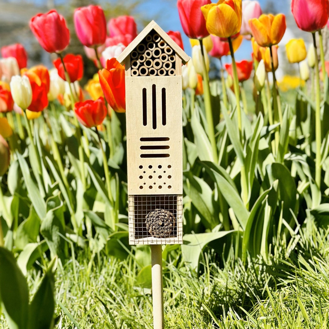 Bestseller Wooden Insect House for Bees, Bugs, Butterflies ...