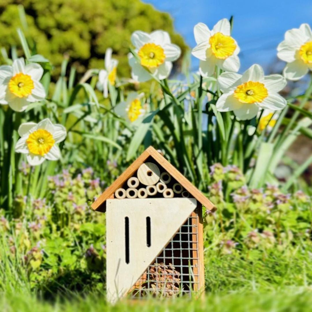 Pollinator Habitat-3-compartment Wooden Insect House, Bees, Butterflies ...