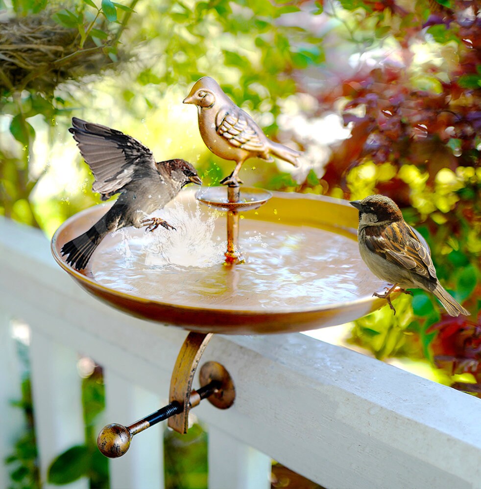 Bird Bath & Butterfly Oasis Pollinator Fountain-stake or Railing Mount ...