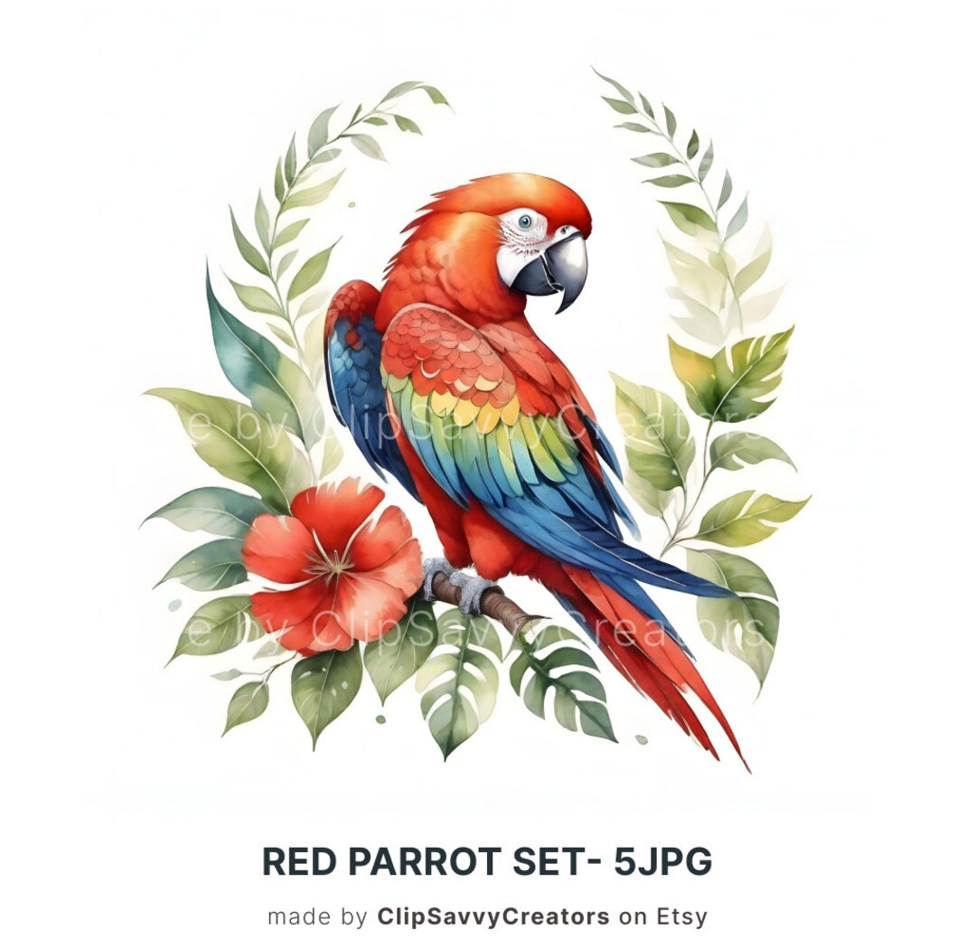 Red Parrot Clipart 5 High Quality Jpgs, Digital Download, Card Making ...
