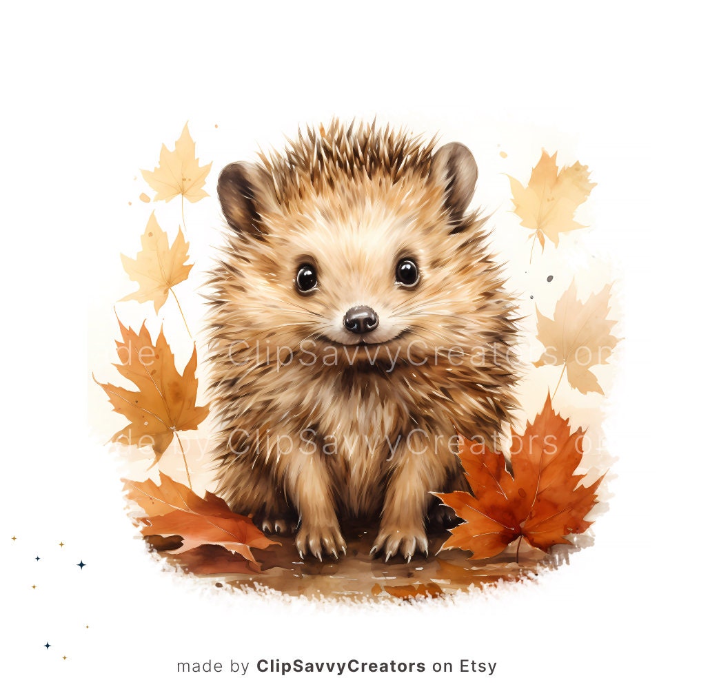 Watercolor Hedgehog Clipart Bundle 5 High Quality Jpgs Digital Download ...
