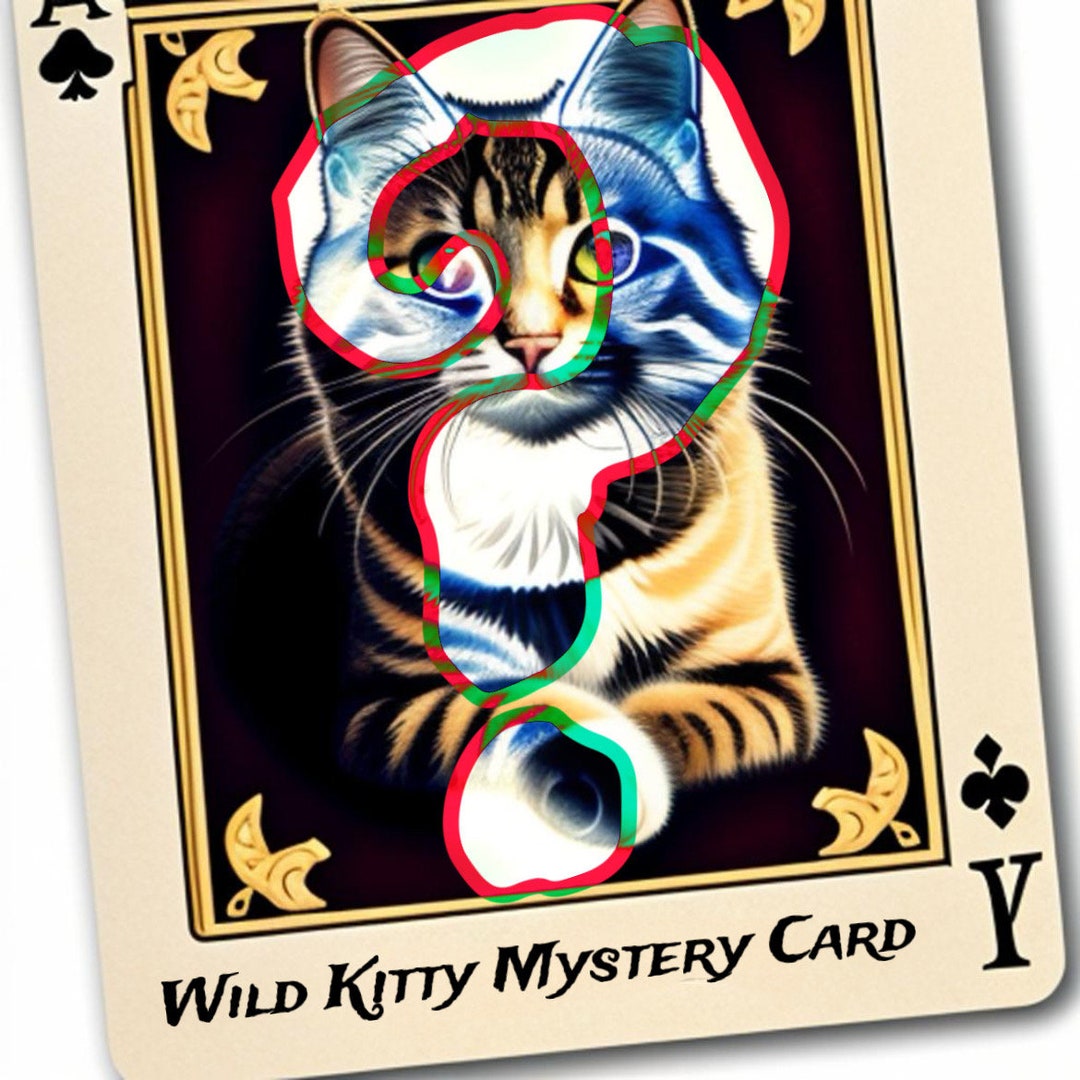 Wild Kitty Mystery Pack - 10 Stickers Picked at Random - Etsy