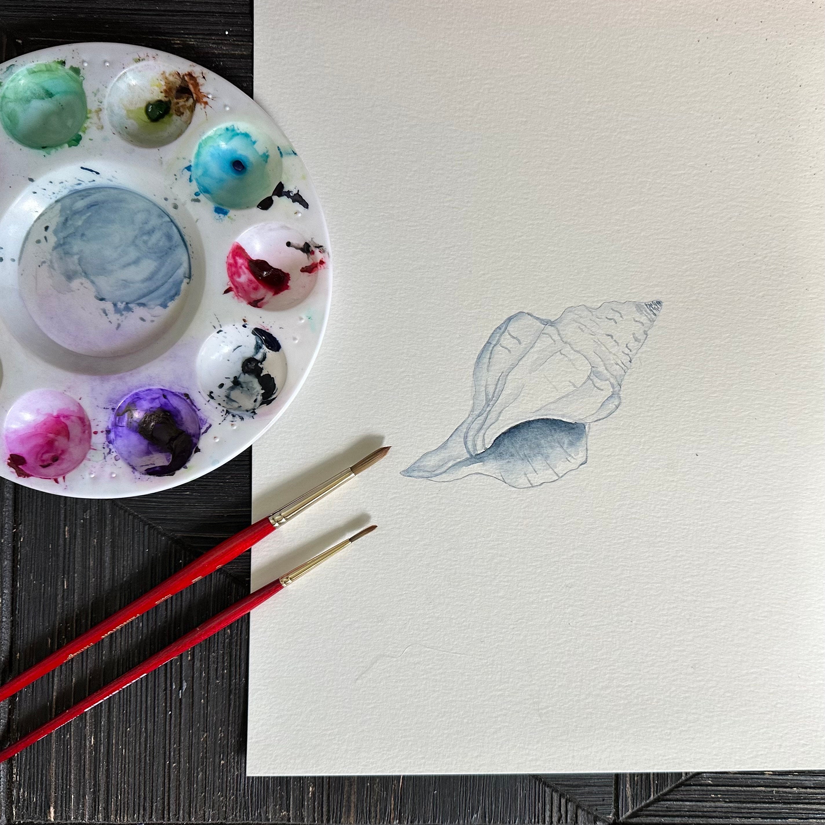 Beachy Seashell Watercolor Painting Set, Conch Shell Coastal Watercolor ...