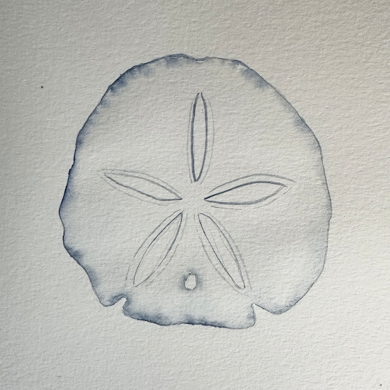 Beachy Seashell Watercolor Painting Set, Conch Shell Coastal Watercolor ...