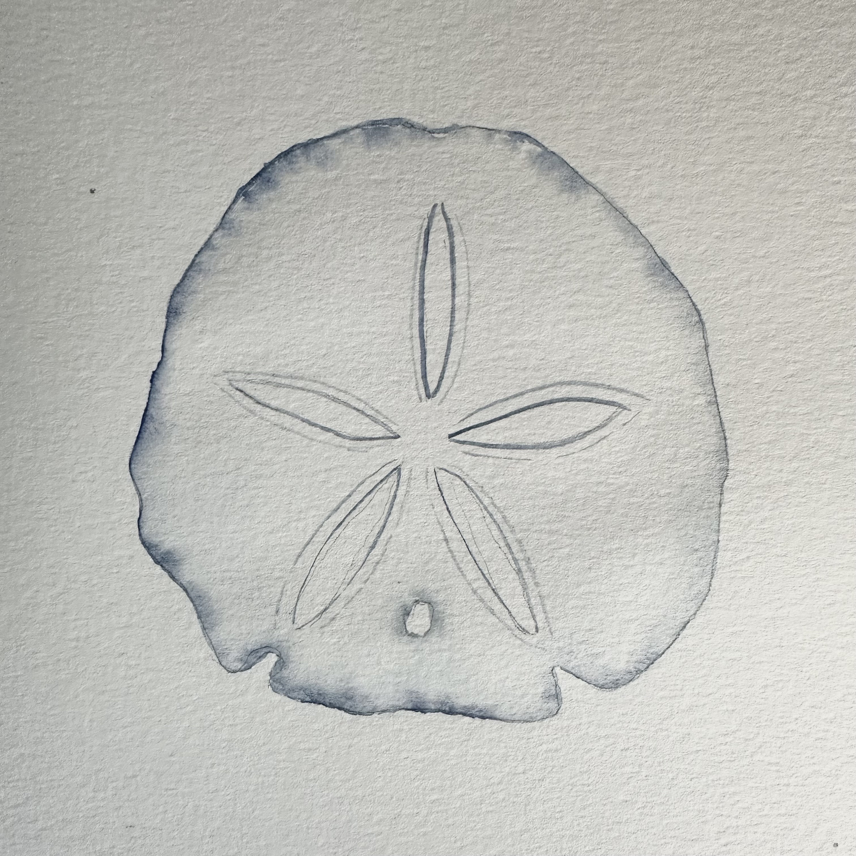 Beachy Seashell Watercolor Painting Set, Conch Shell Coastal Watercolor ...