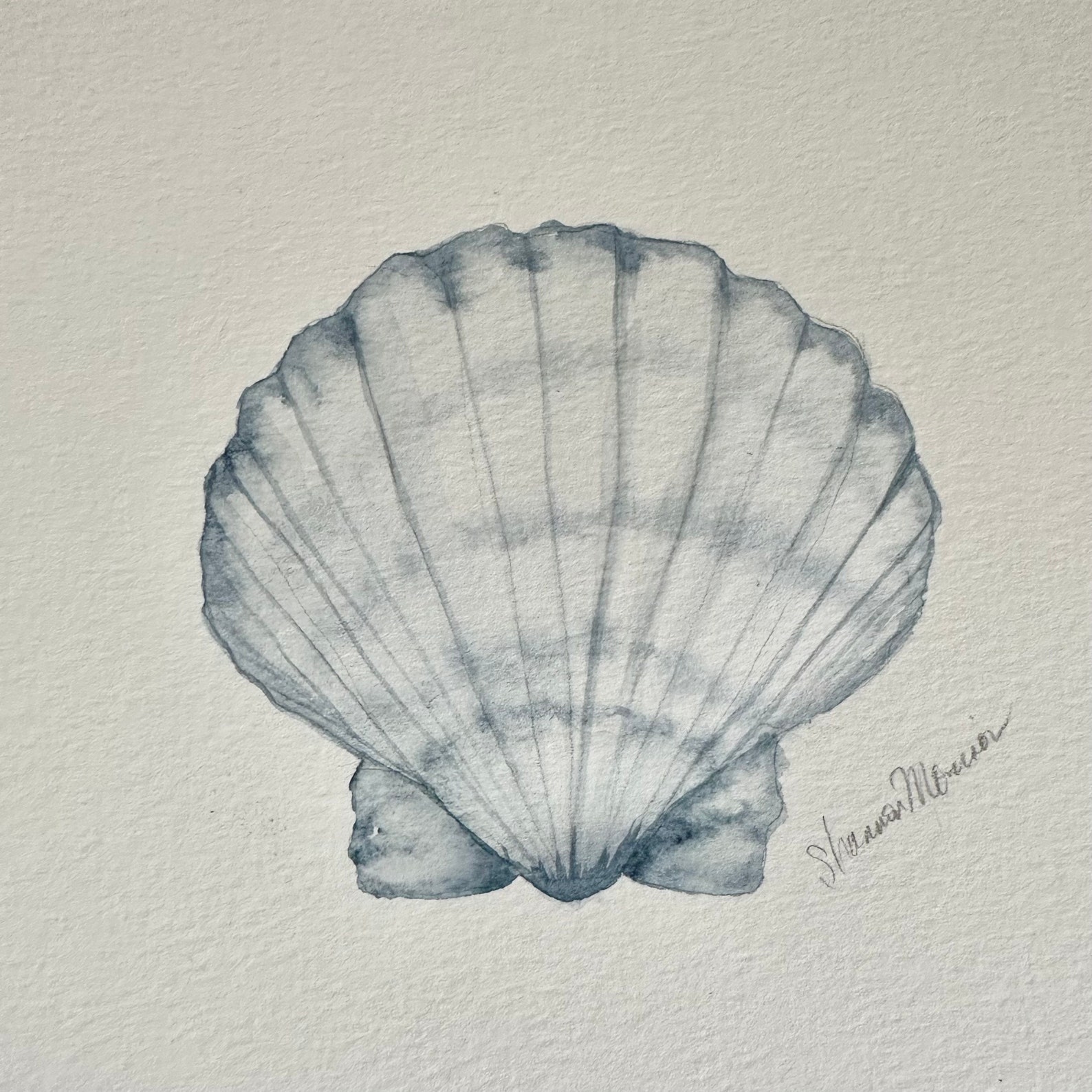 Beachy Seashell Watercolor Painting Set, Conch Shell Coastal Watercolor ...