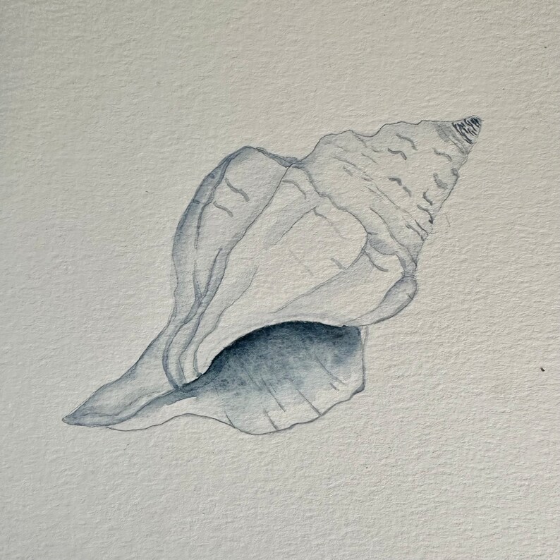 Beachy Seashell Watercolor Painting Set, Conch Shell Coastal Watercolor ...
