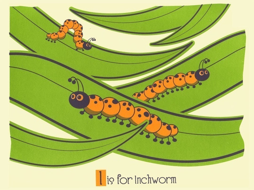 Alphabet Nursery Art Print - I is for Inchworm - Hand Screenprinted ...
