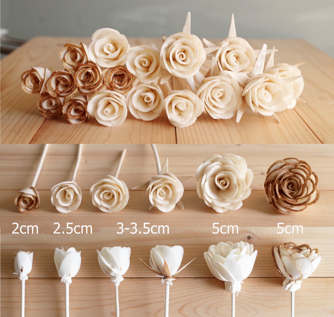 Roses Sola Wood Diffuser Flowers 2-5cm Dia., Set of 15-100pcs. - Etsy