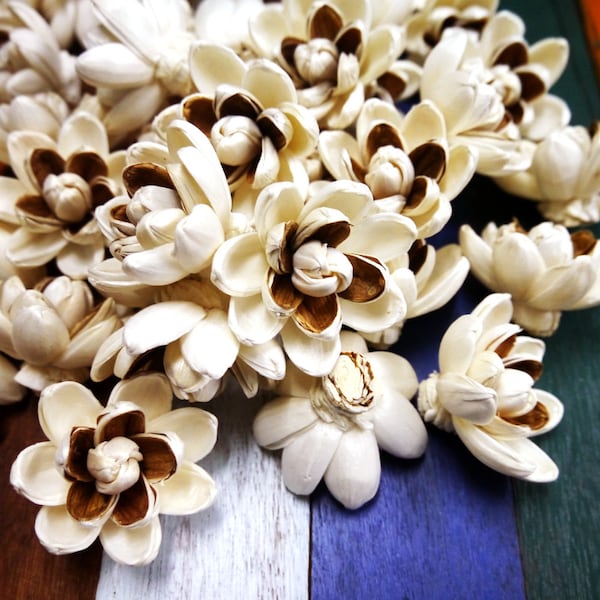 Balsa Wood Flower - Etsy