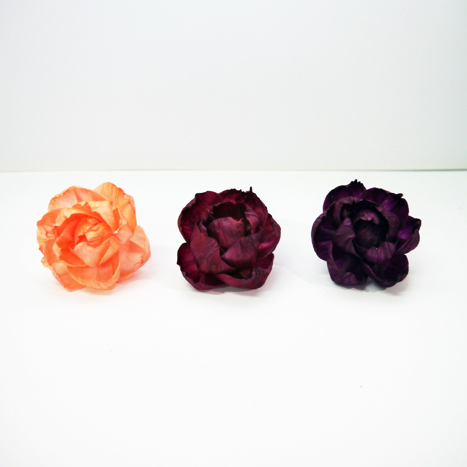 15 Peony Roses Sola Wood Diffuser Flowers 5 Cm Dia. Dyed in - Etsy