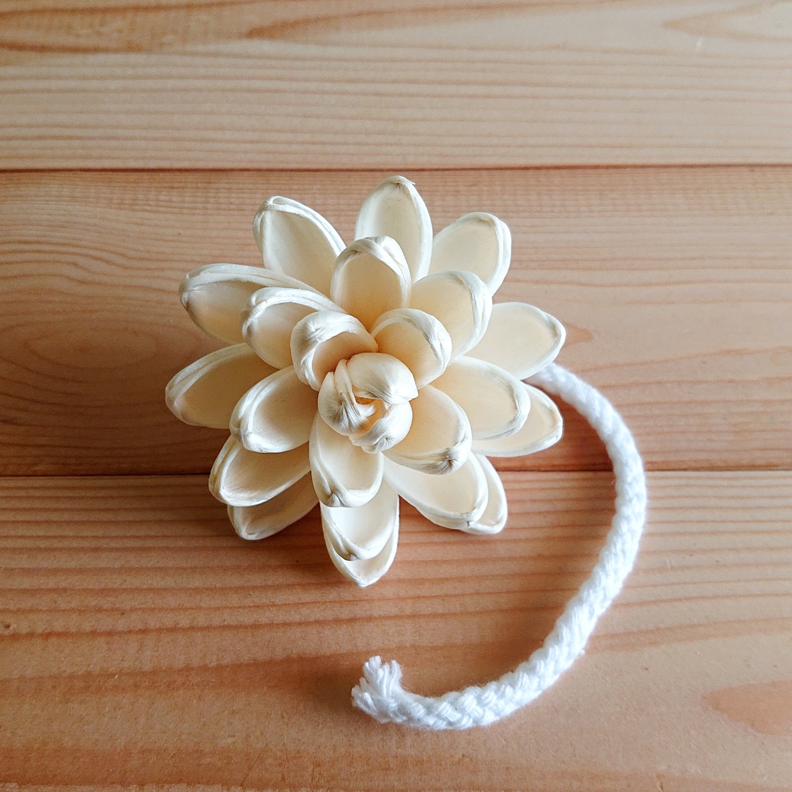 10 Sola Wood Diffuser Flowers With Cotton Rope, Mix of Zinnia ...