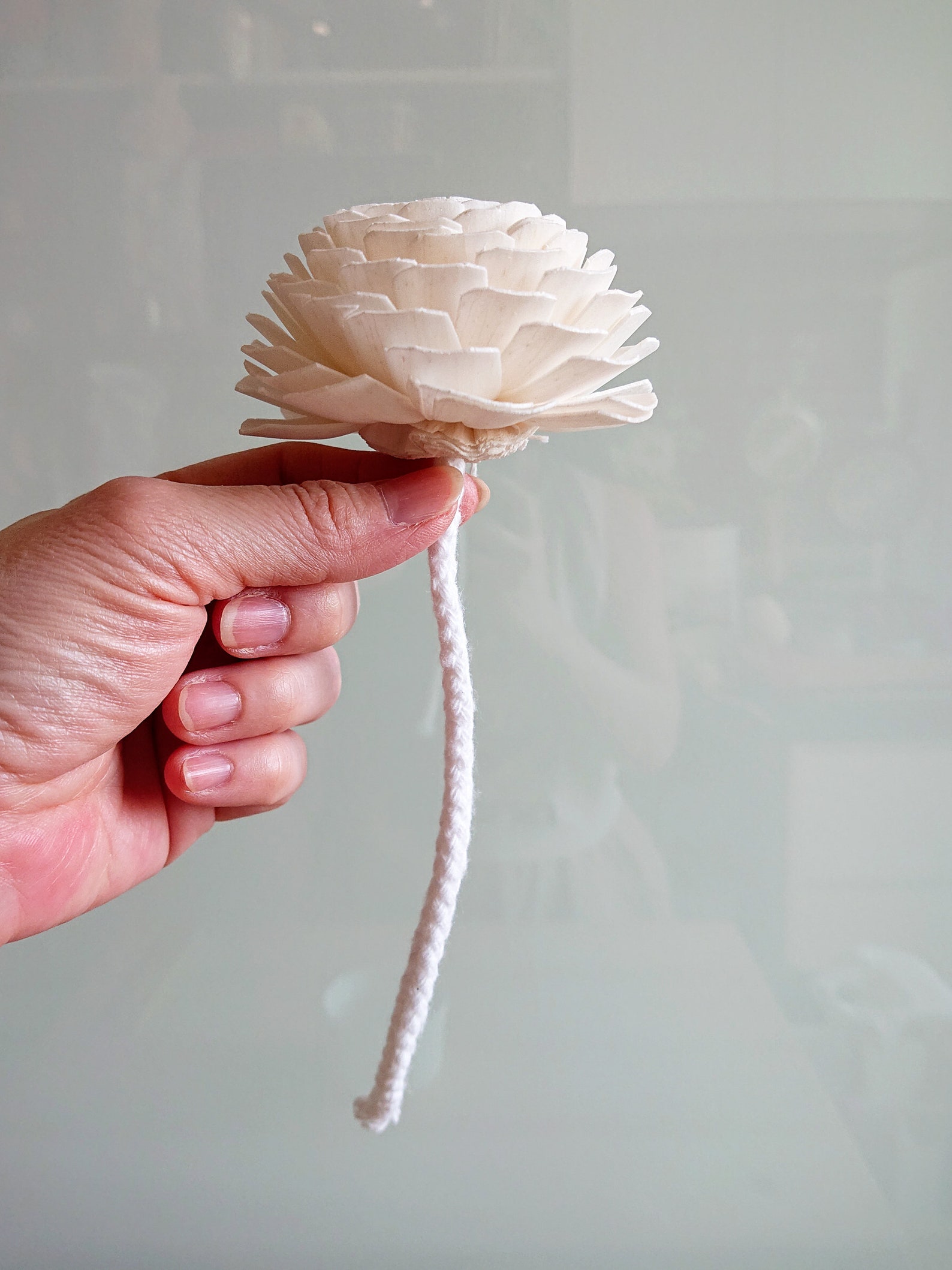 10 Sola Wood Diffuser Flowers With Cotton Rope Mix of Zinnia - Etsy