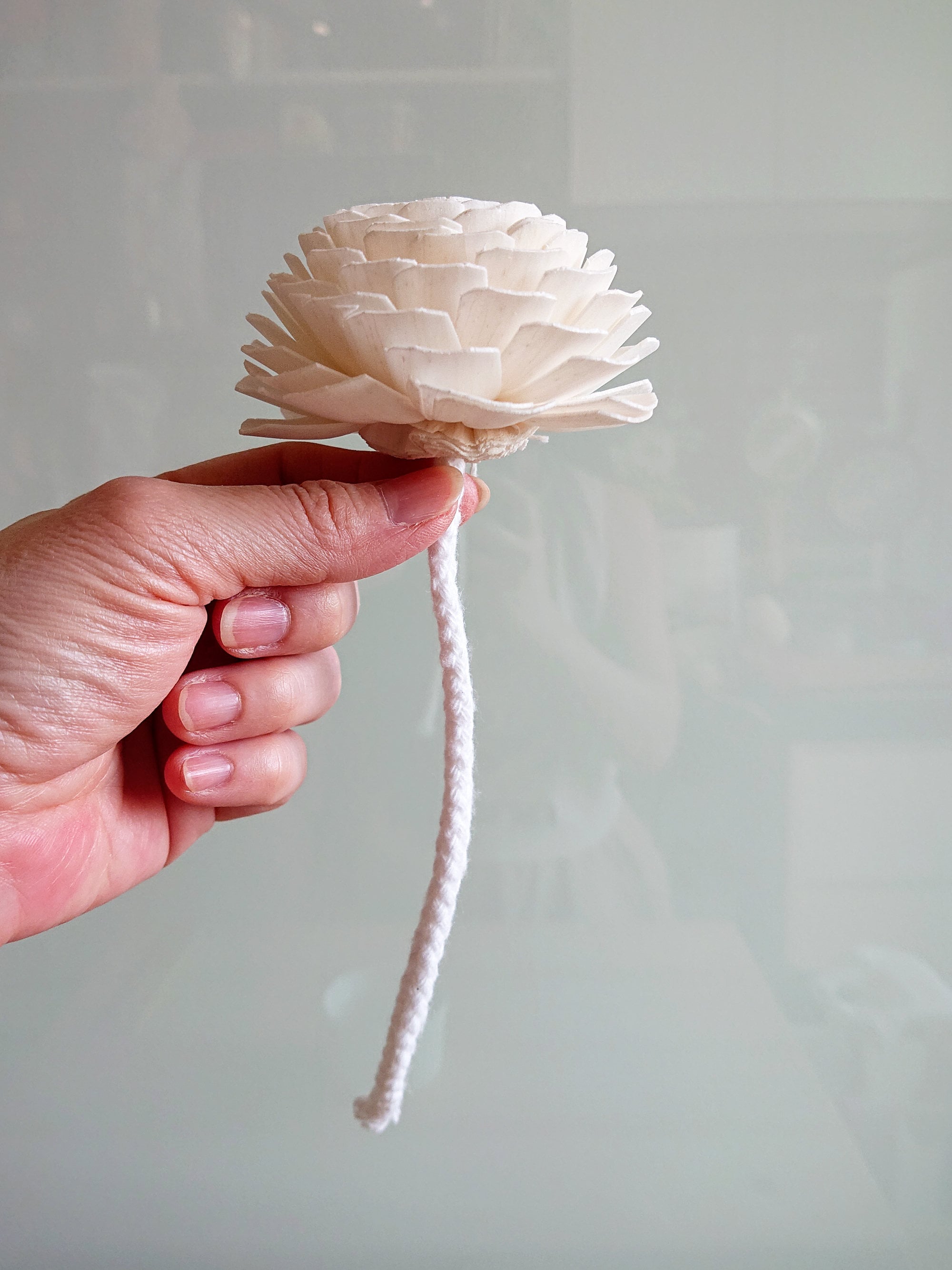 10 Sola Wood Diffuser Flowers With Cotton Rope Mix of Zinnia - Etsy