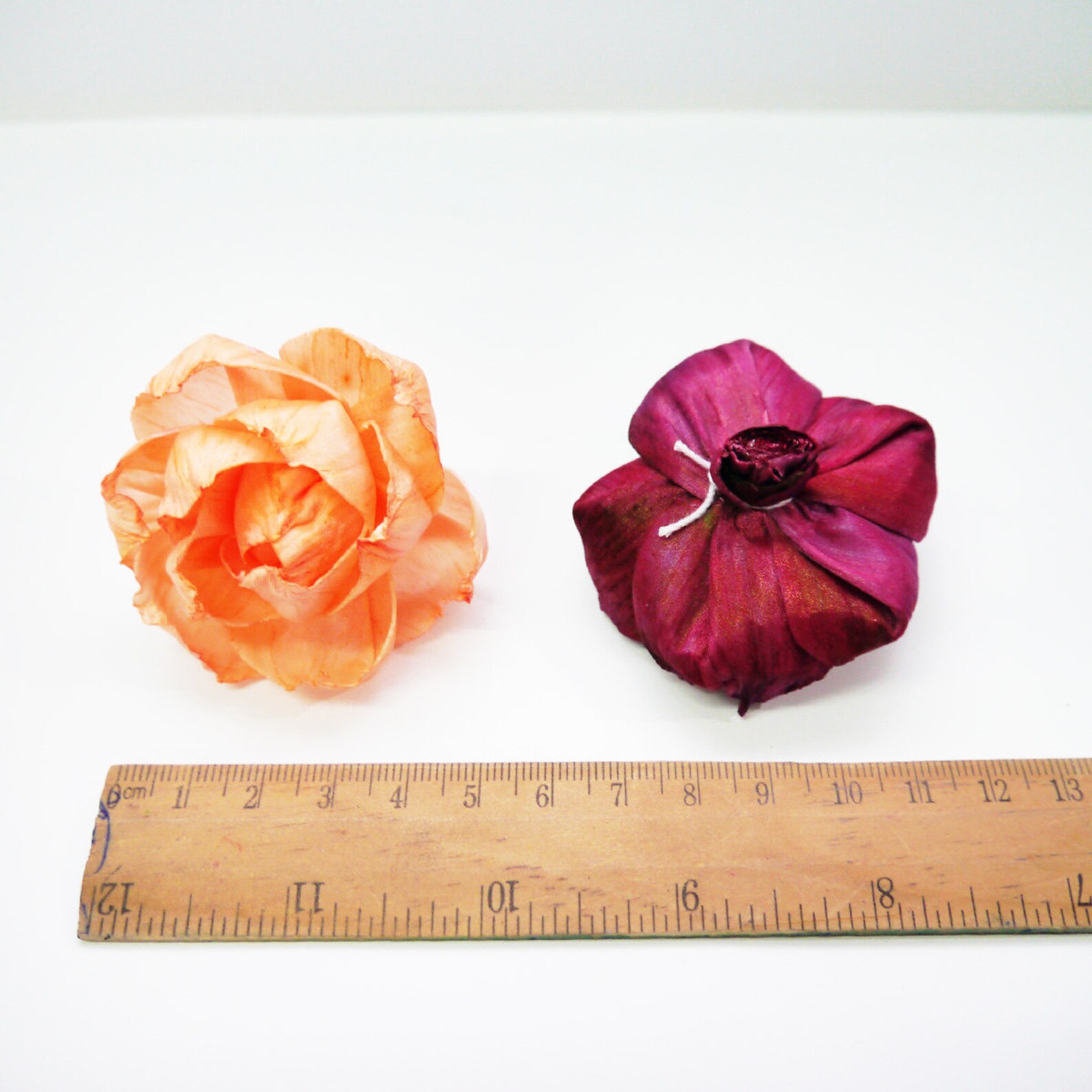 15 Peony Roses Sola Wood Diffuser Flowers 5 Cm Dia. Dyed in - Etsy