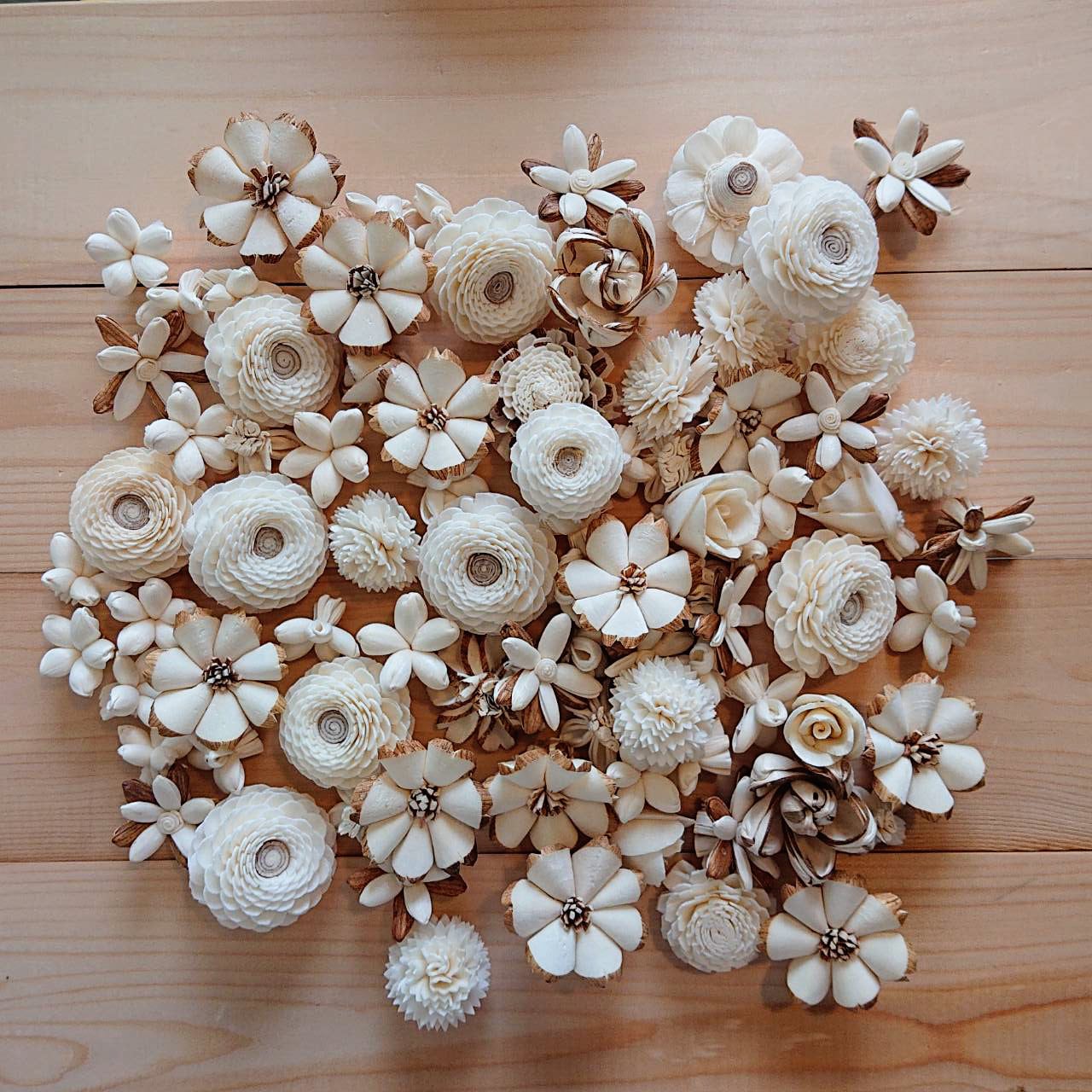 50 Assortment Sola Wood Diffuser Flowers 2-4cm Dia. - Etsy