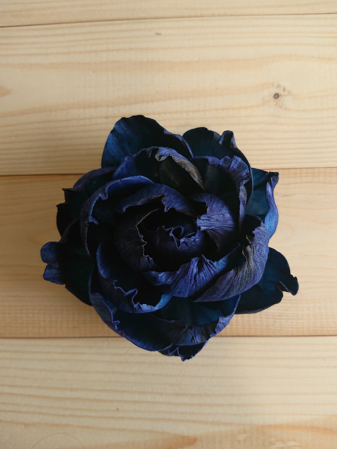 6 Peony Roses Sola Wood Diffuser Flowers 10cm Dia. Dyed in - Etsy