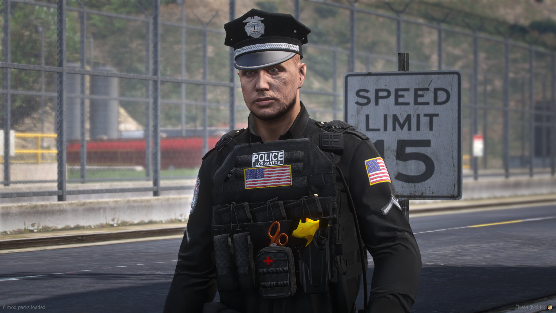 Paquete EUP MEGA LSPD FiveM - Etsy México