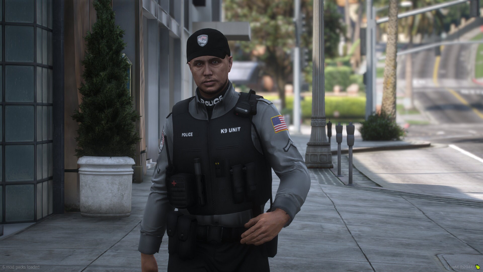 Paquete EUP MEGA LSPD FiveM - Etsy México
