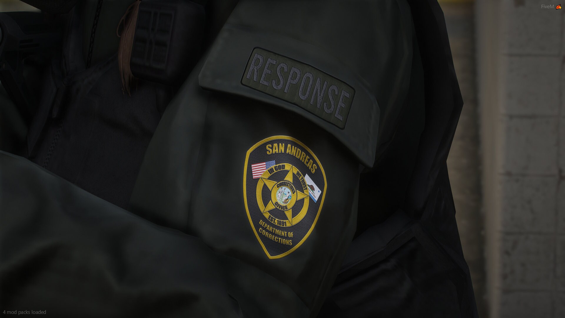 Department of Corrections Fivem EUP Package | JA Designs Fivem - Etsy