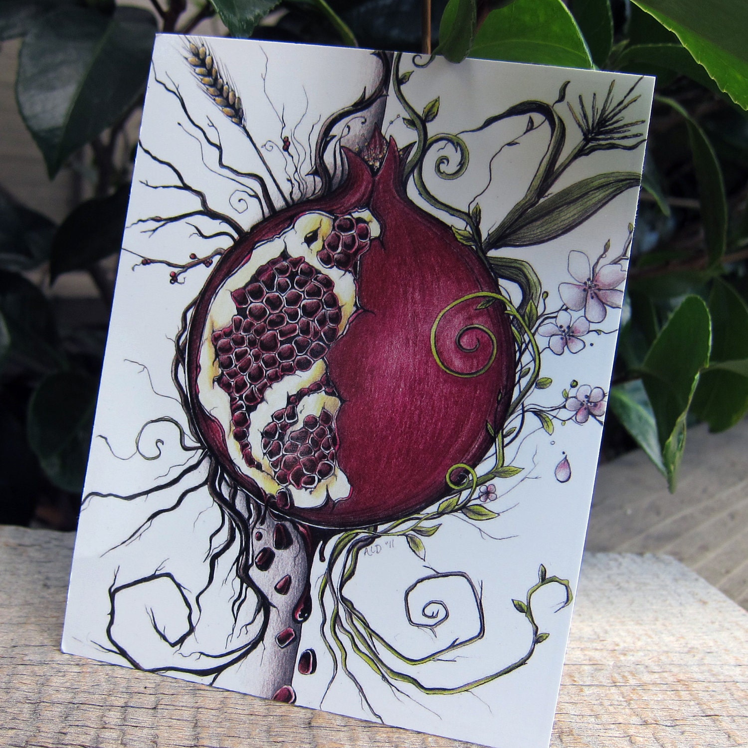 Artifact Persephone's Choice 8.5 X 11 Gloss Print - Etsy