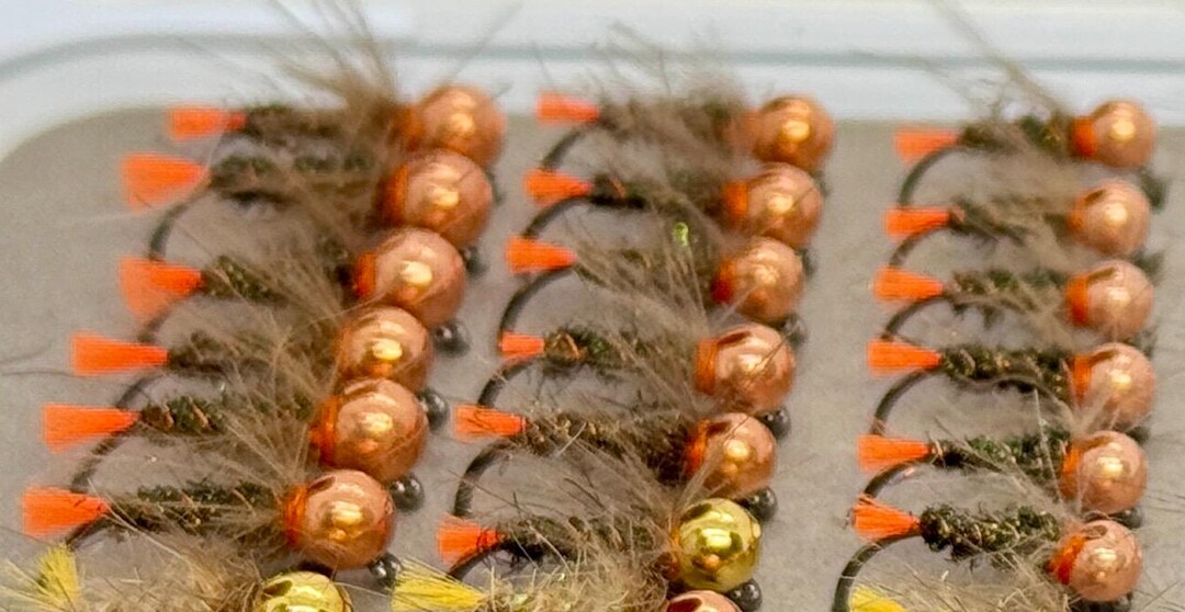 Blowtorch Euro Nymphs (2 Flies) - Etsy