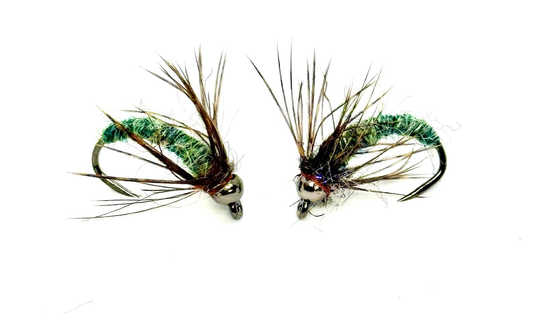 Dirty Bug Emerging Caddis Wet Fly (2 Flies) - Etsy