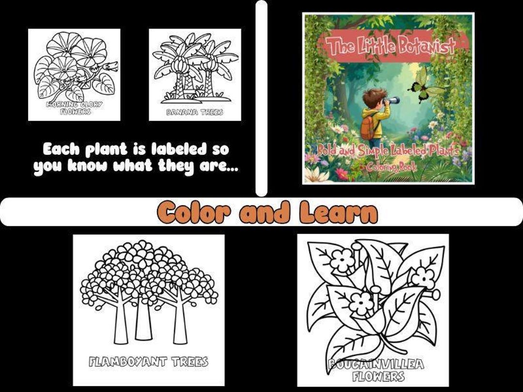 STEM the Little Botanist Bold and Simple Labeled Plants,110 Pages of ...