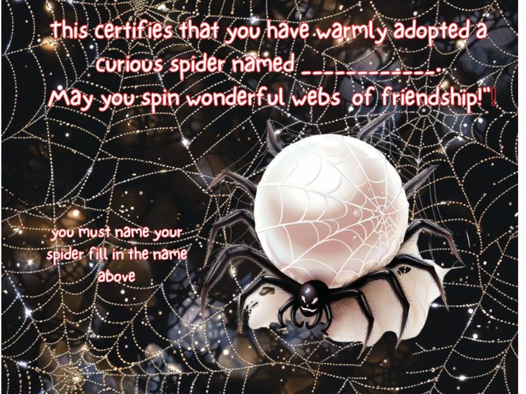 Halloween in July-adopt A Ghost, Pumpkin, Witch, Spider and Bat-cat ...
