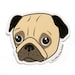 Pug Sticker - Etsy