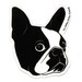 Boston Terrier Sticker - Etsy