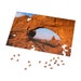 Jigsaw Puzzle, arches National Park Sunrise Turret Arch View Puzzle ...